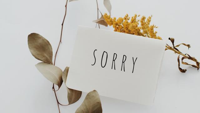 36 Kata-Kata Permintaan Maaf Romantis, Bikin Dia Luluh - Ragam Bola.com