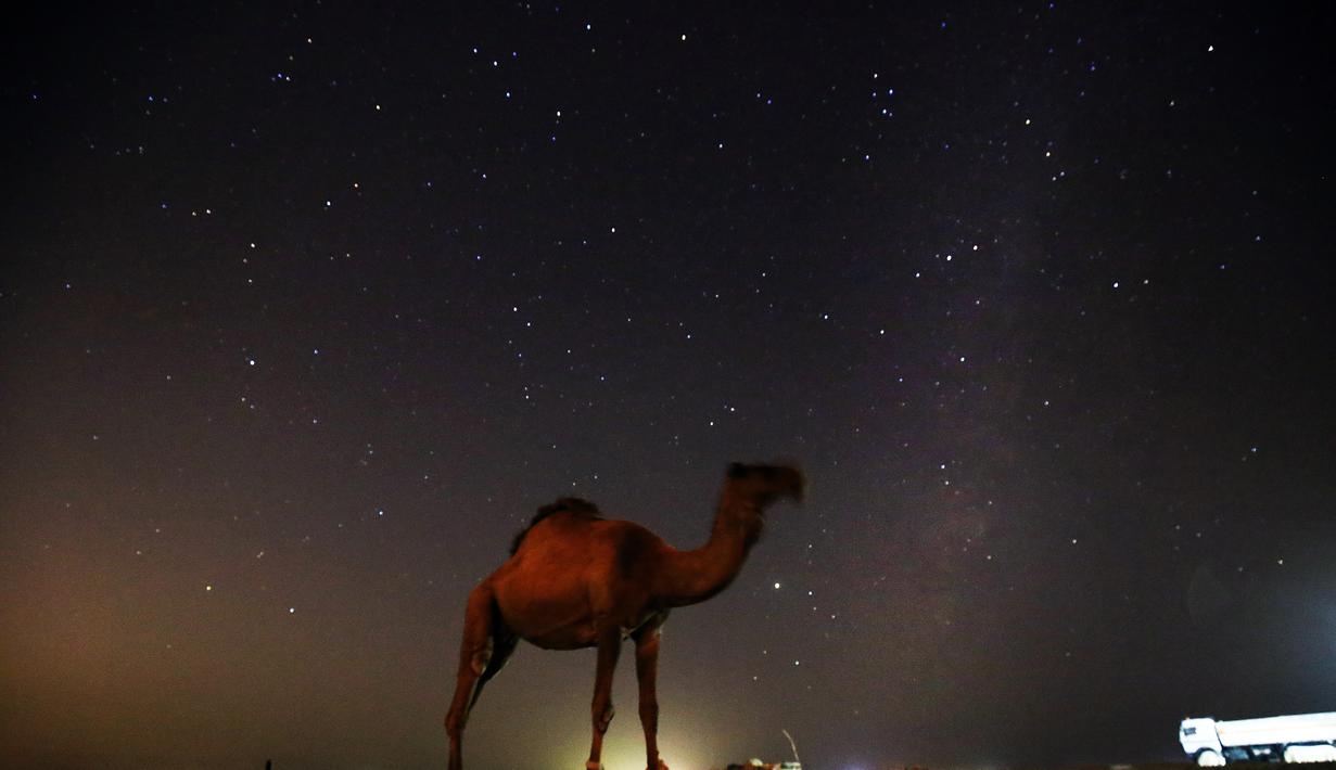 FOTO: Keindahan Galaksi Bima Sakti di Gurun Mutriba Kuwait - Foto ...