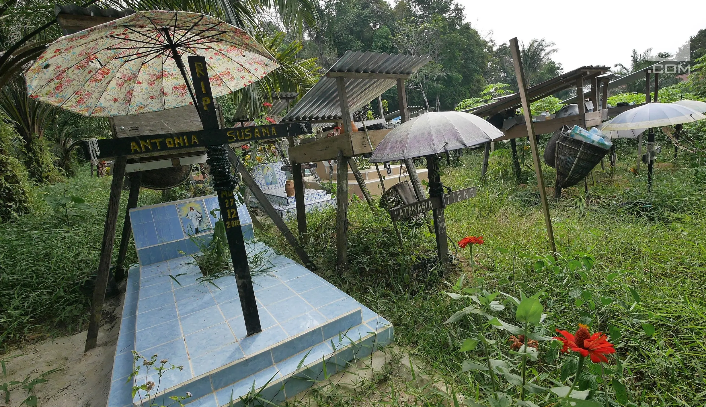 FOTO: Melihat Dango Subur, Tradisi Unik Penguburan di Kalimantan - Foto ...
