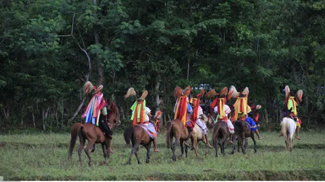 Ritual Wulla Poddu dan Potret Agraris Penganut Marapu Sumba - Regional ...