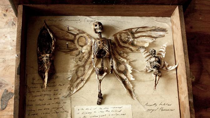 Kerangka Manusia Bersayap dan Bertanduk Ada di Museum London - Citizen6 Liputan6.com