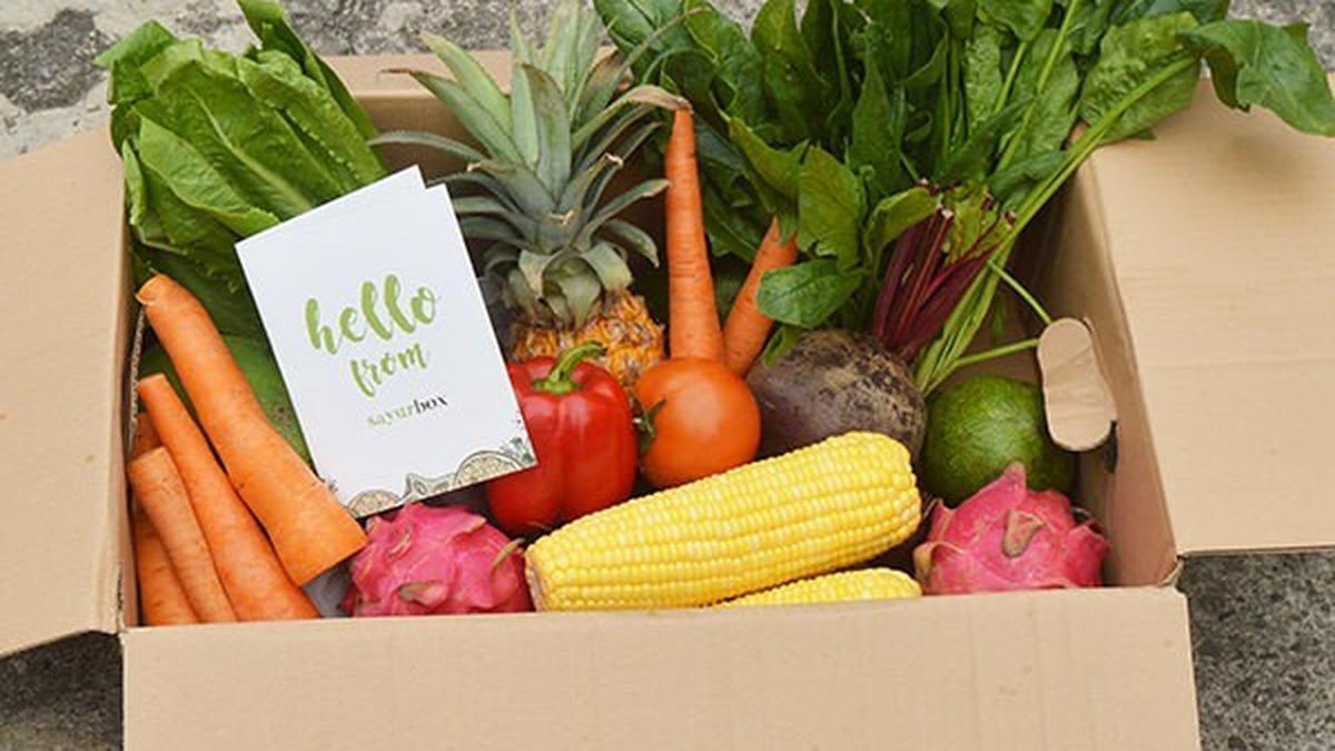 5 Keuntungan Membeli Sayur di Ecommerce saat New Normal dengan Beragam ...