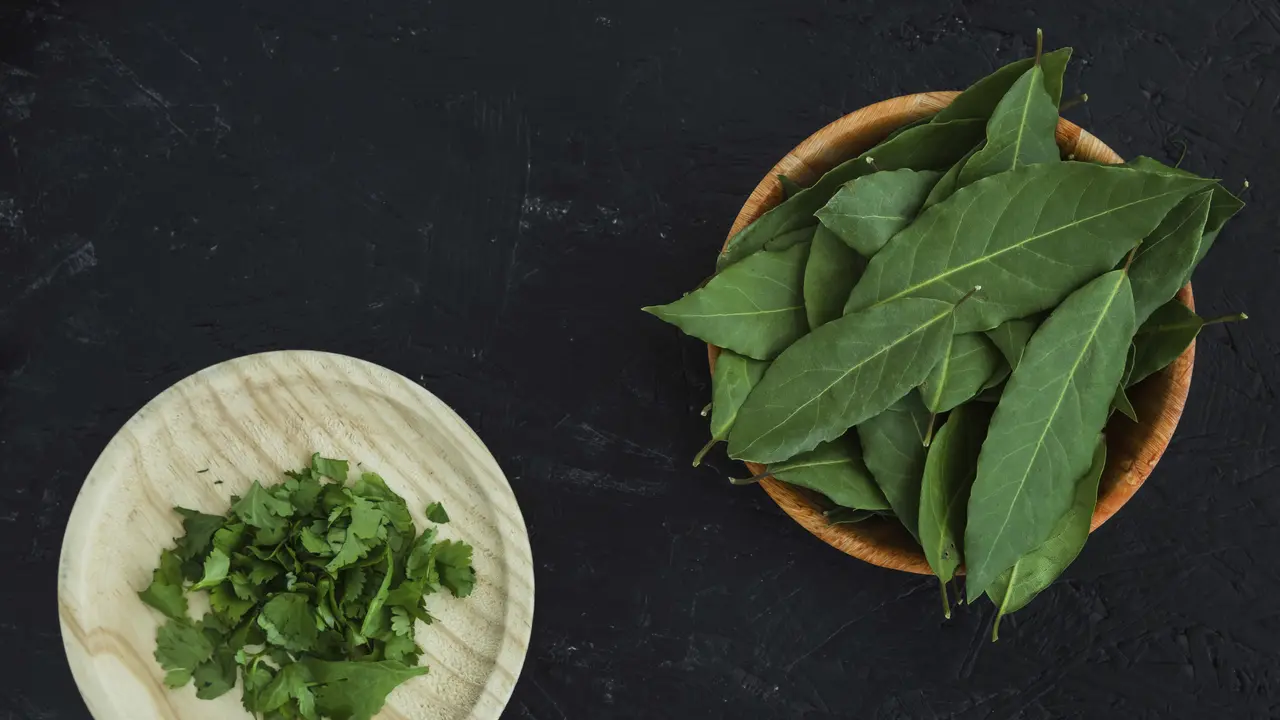Manfaat Daun Salam dan Daun Kelor untuk Kesehatan, Ini Faktanya