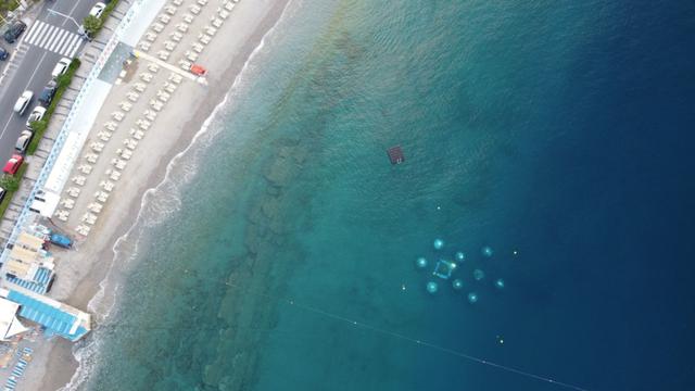 Nemo's Garden Jadi yang Pertama di Dunia Menanam Tanaman di Bawah Laut ...