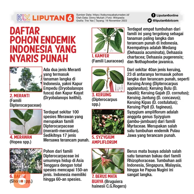 Peringatan Hari Bumi Sedunia 2026, Digelar Aksi Penanaman One Man One Tree