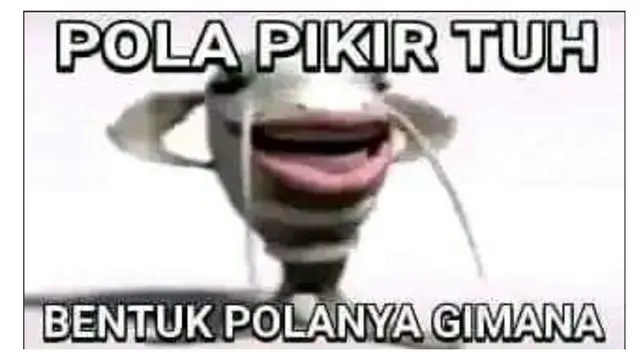 6 Meme Pertanyaan Lucu dari Kata Familiar Ini Bikin Bertanya-Tanya ...