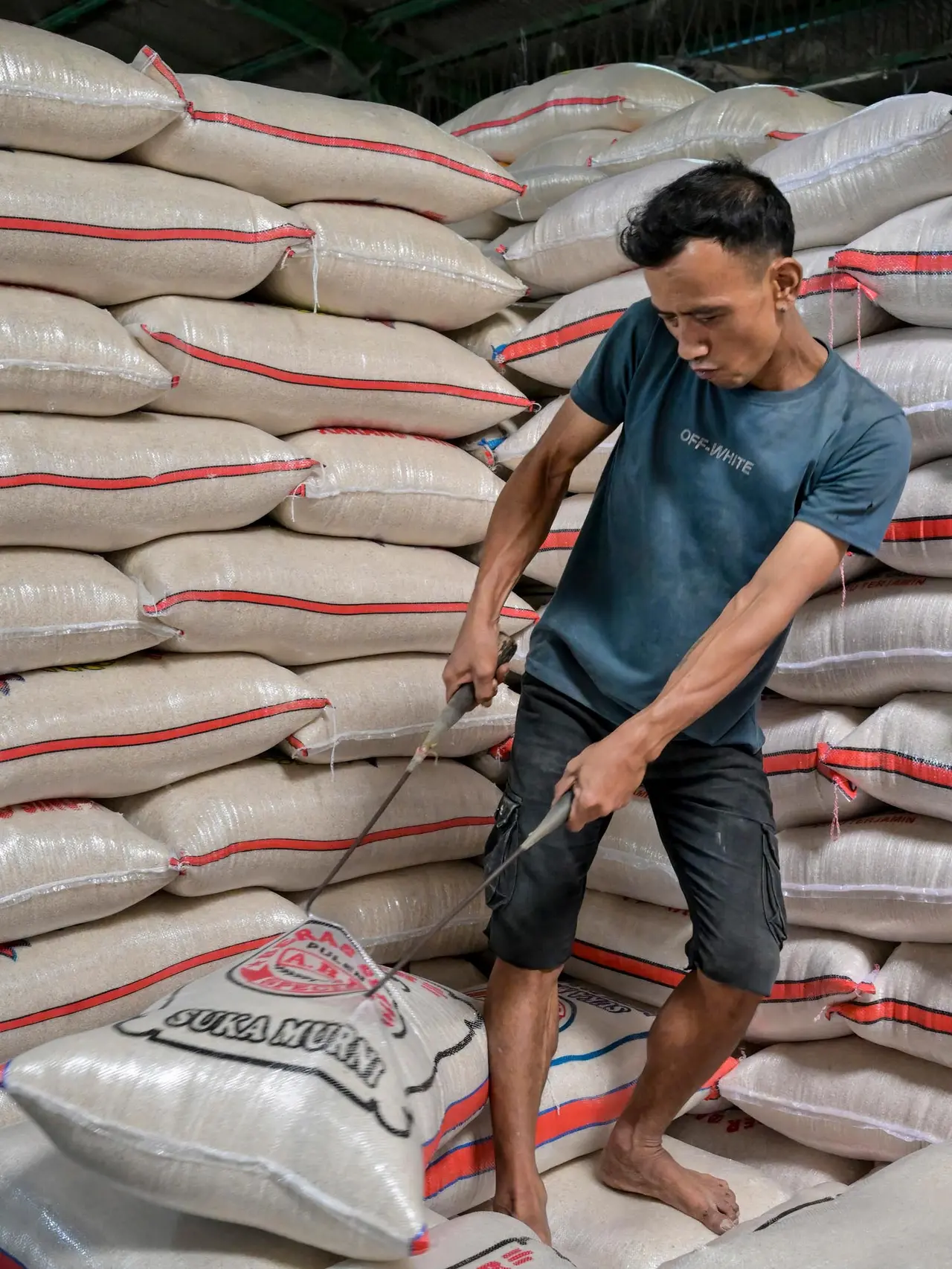 Harga Beras Kompak Naik Desember 2025, dari Penggilingan hingga Eceran ...
