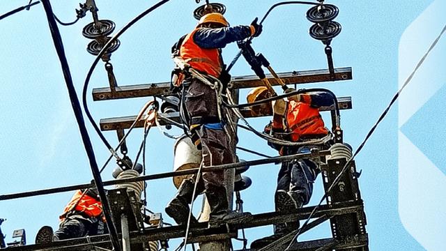 Profil PT Haleyora Power, Anak Perusahaan PT PLN Bidang Operation dan ...