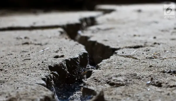 7 Selebgram Viral Sepanjang 2024, dari Kasus KDRT hingga Kisahnya Difilmkan - Hot Liputan6.com