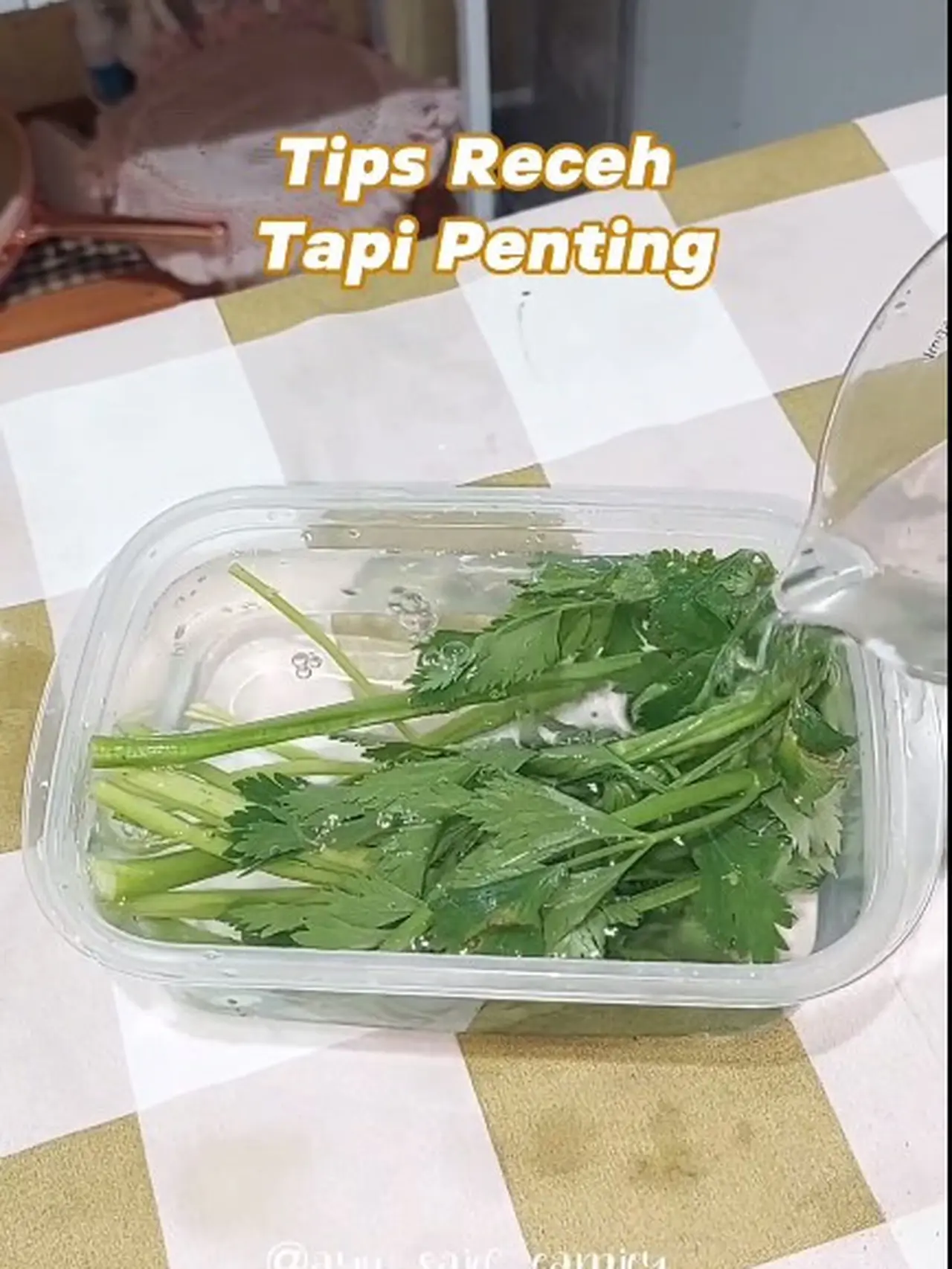 Manfaat Seledri untuk Obat Alami Hipertensi, Begini Cara Mengolahnya ...