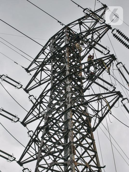 Perbaikan Rutin Jaga Stabilitas Sistem Kelistrikan Menara SUTET - Foto ...