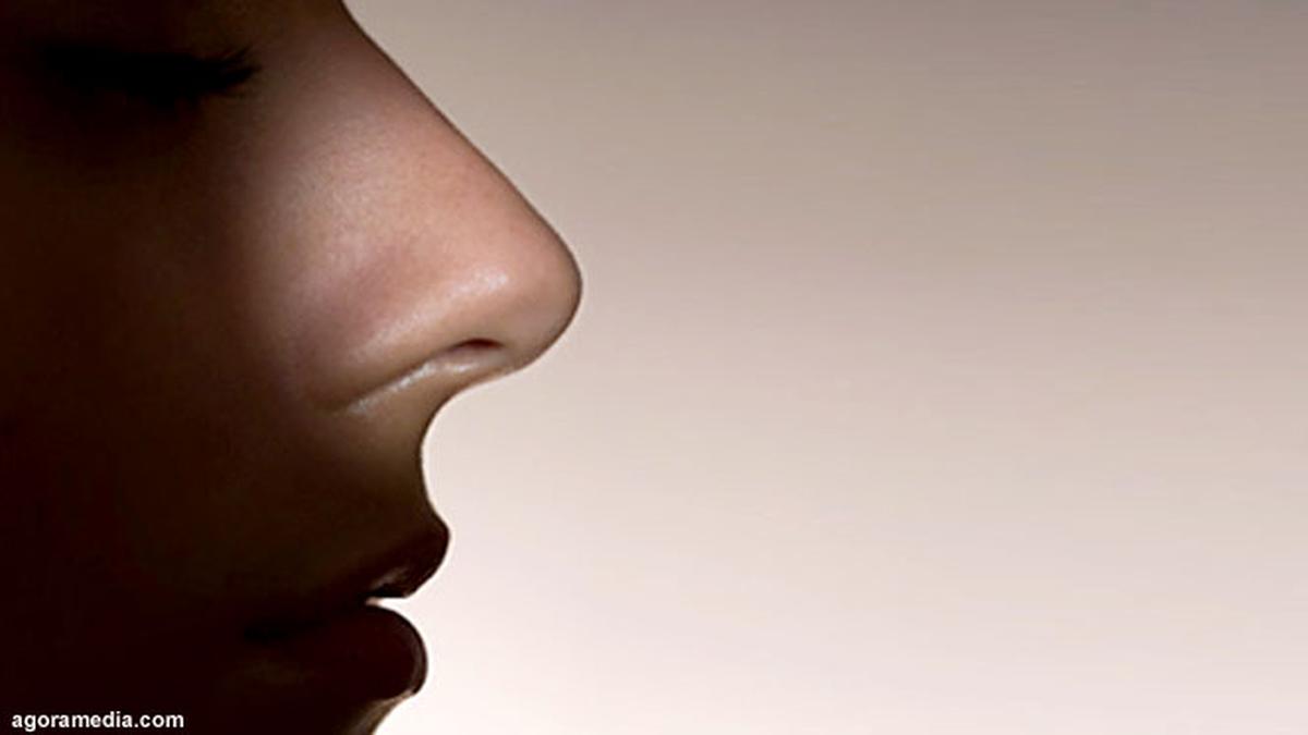 Kenapa Bentuk Hidung Setiap Orang Beda? - Health Liputan6.com