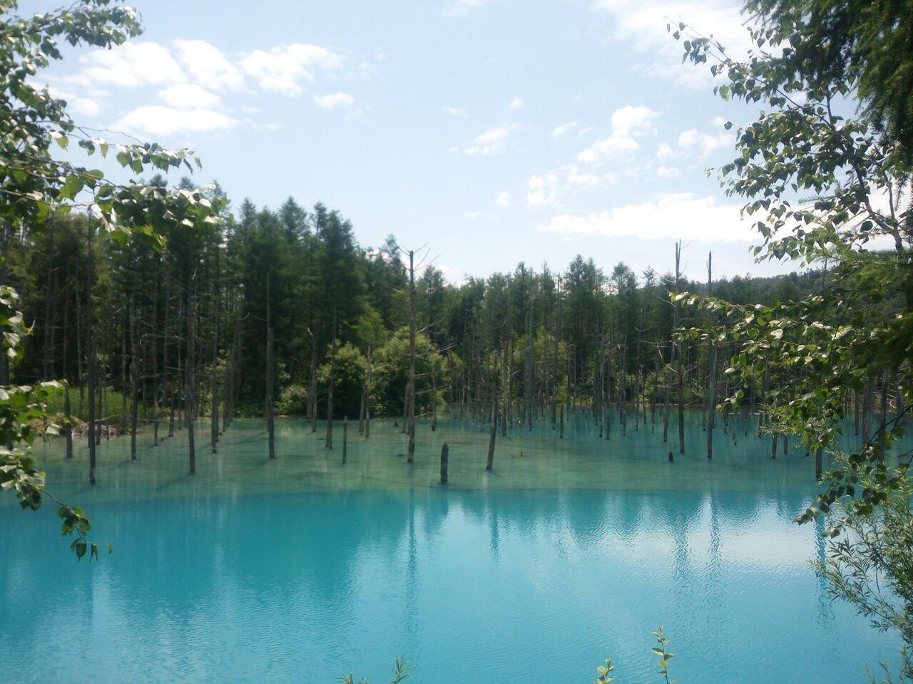 The Blue Pond, Danau Berwarna Biru Terang yang Epik di Jepang ...