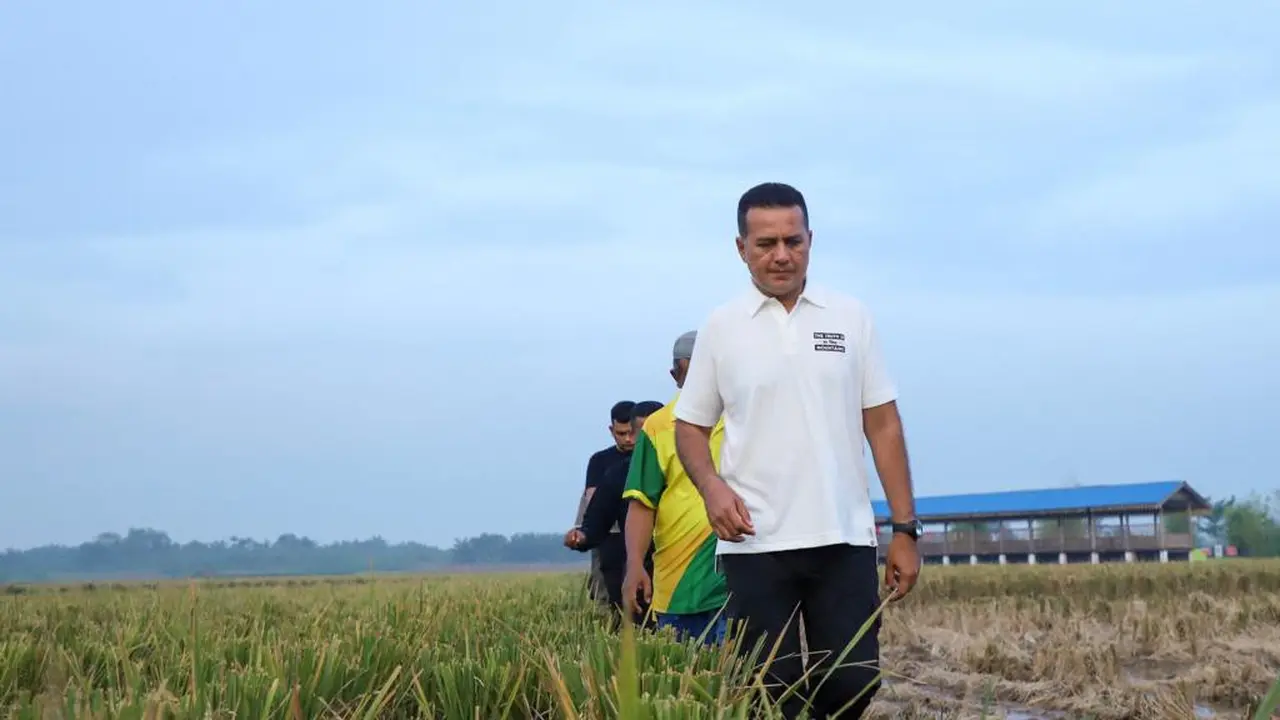 Musa Rajekshah Ajak Anak Muda Jadi Petani Milenial - Regional Liputan6.com