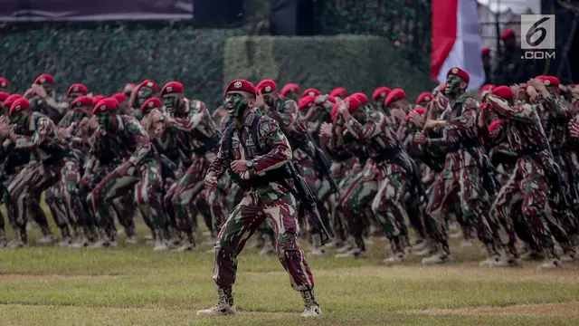 Tanda Pangkat TNI Beserta Maknanya, Bisa Dipahami dengan Mudah - Hot ...