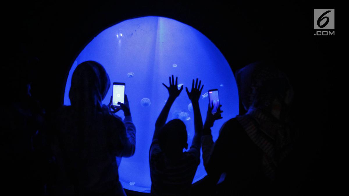 FOTO: Menjelajahi Wahana Jellyfish Sphere di Seaworld Ancol Saat Libur ...