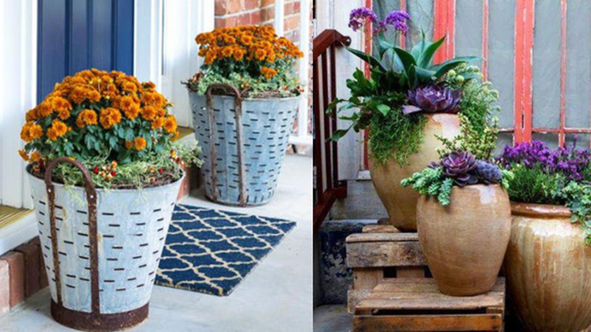 Inspirasi Menata dan Mempercantik Pot Bunga di Rumah - Photo Fimela.com