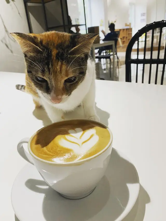 Konsep Coworking Space Anti-Stres di Tangsel, Bisa Kerja Sambil Main ...