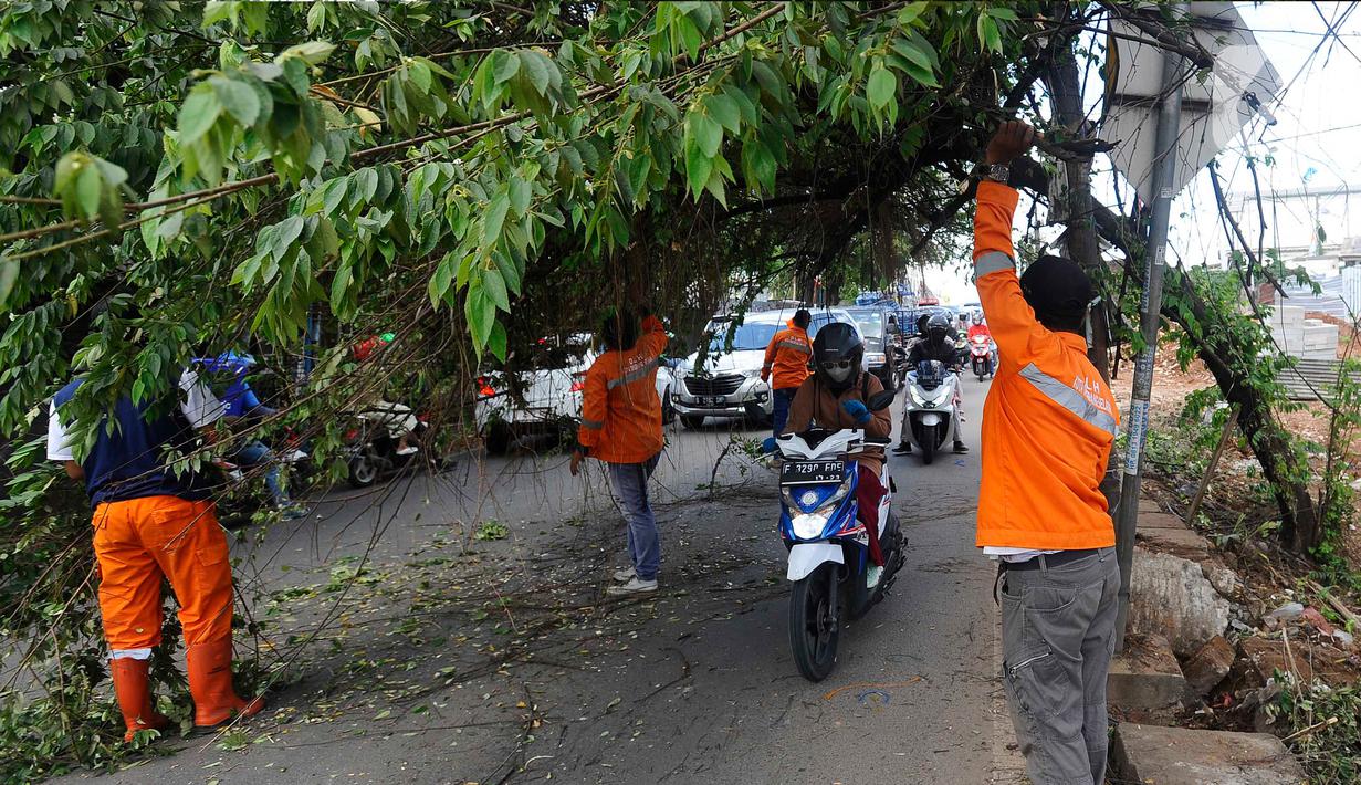 Pohon Nyaris Tumbang Ganggu Akses Pengguna Jalan di Pondok Cabe Tangsel