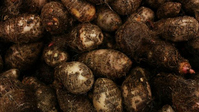 10 Manfaat Talas Baik untuk Jantung hingga Pencernaan, Ketahui Jenis ...