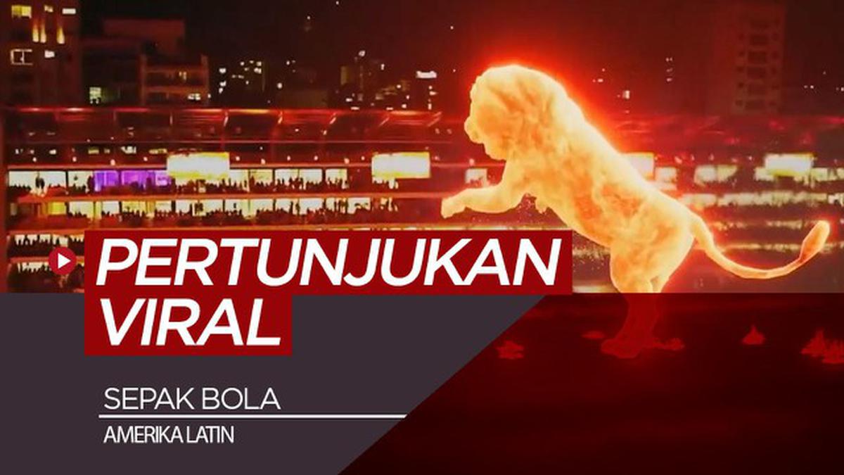 VIDEO: Viral dari Sepak Bola Amerika Latin, Pertunjukan Singa Hingga ...