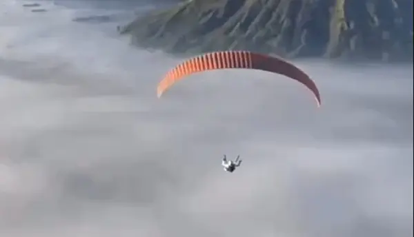 Mengenal Gold Coin Indonesia, Pionir Pakan Burung yang Kembali Viral ...