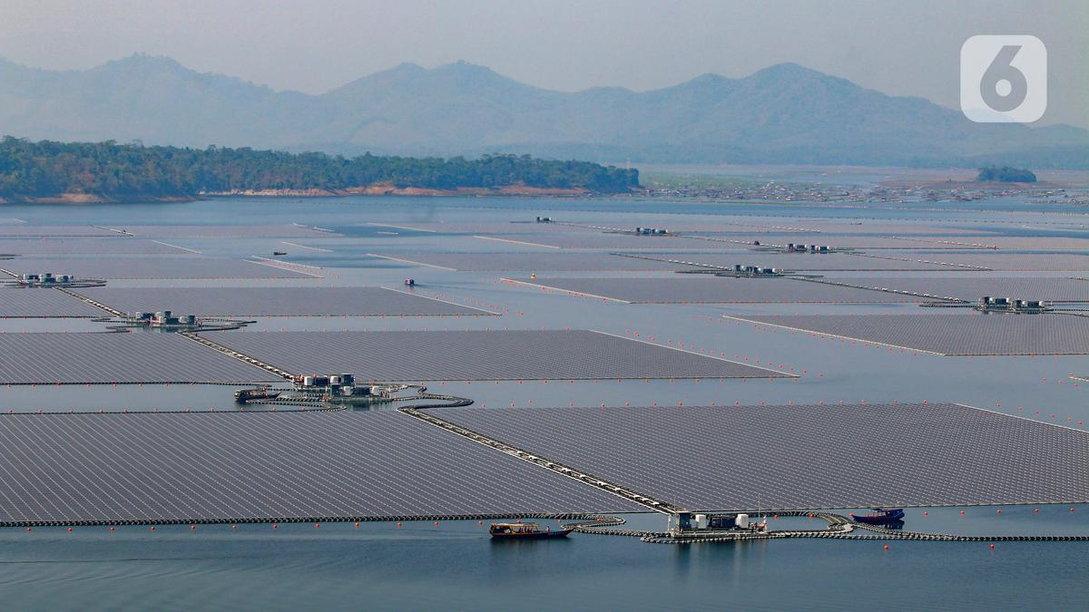 KKP: RI Punya Potensi Karbon Biru Besar dan Diakui Dunia - Bisnis ...
