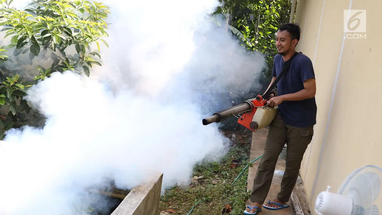 Fogging Hanya Berantas Nyamuk DBD Dewasa - Health Liputan6.com