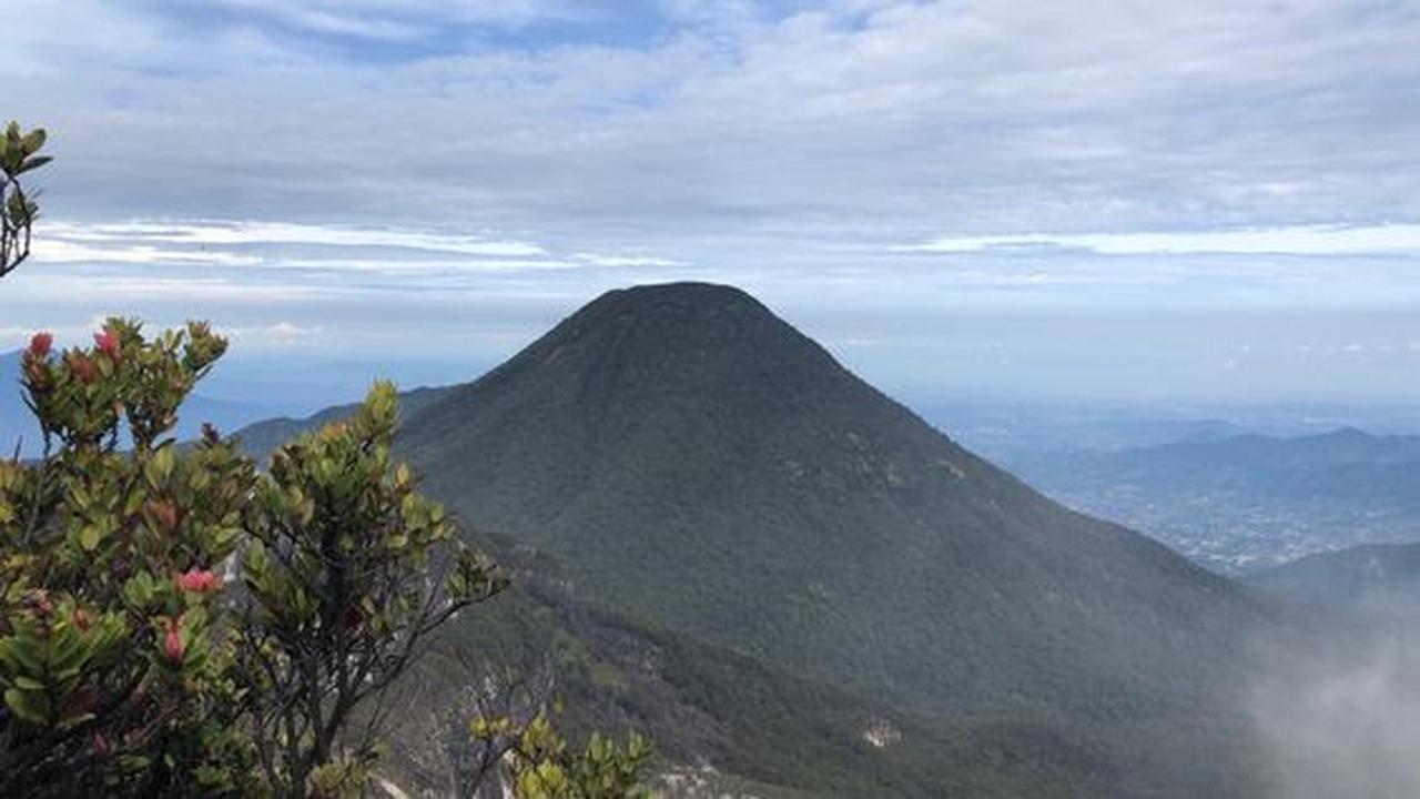 Mitos Gunung Gede Pangrango, Mulai dari Ikan Misterius di Telaga Tiga ...