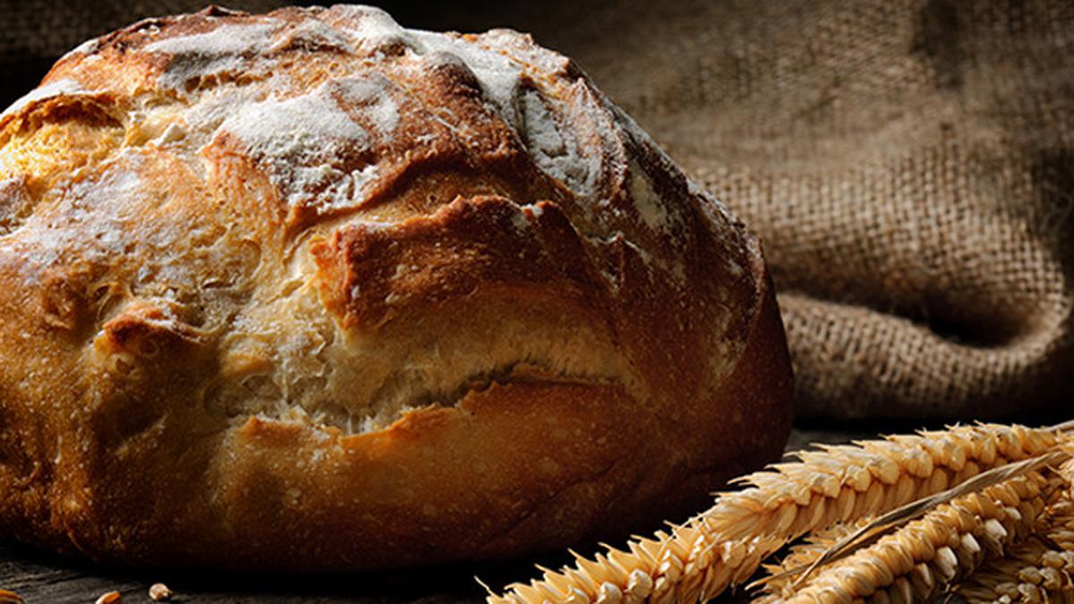 Terungkap, Manusia Buat Roti Ribuan Tahun Sebelum Bertani - Health ...