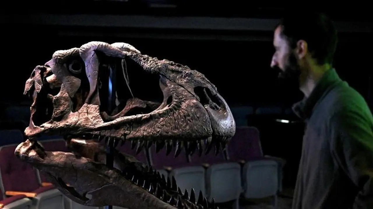 Fosil Dinosaurus Meraxez Gigas Ditemukan di Argentina, Mirip Makhluk ...