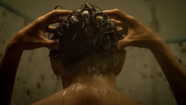 The Grudge: Misteri Tewasnya Satu Keluarga di Rumah 44 Reyburn Drive ...