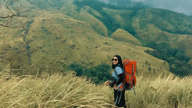 Tips Mendaki Gunung untuk Pemula: Panduan Lengkap Menaklukkan Puncak - Feeds Liputan6.com