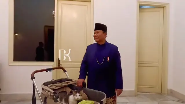 7 Potret Bobby Kucing Prabowo di Pelantikan Presiden, Jadi Penghuni ...