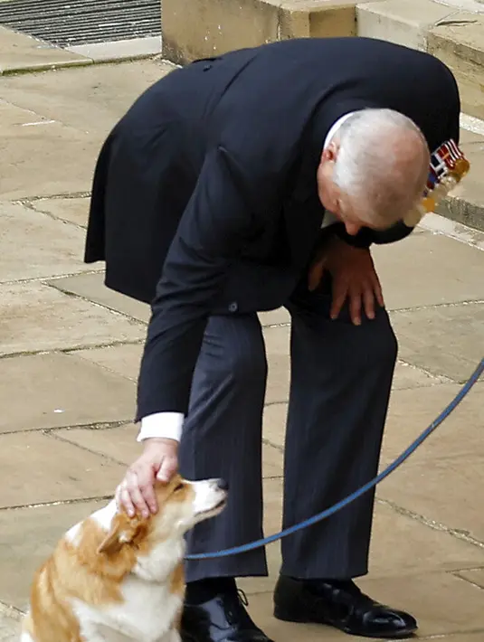 Momen Anjing Corgi Kesayangan Ratu Elizabeth II Ikut Menanti Kedatangan ...