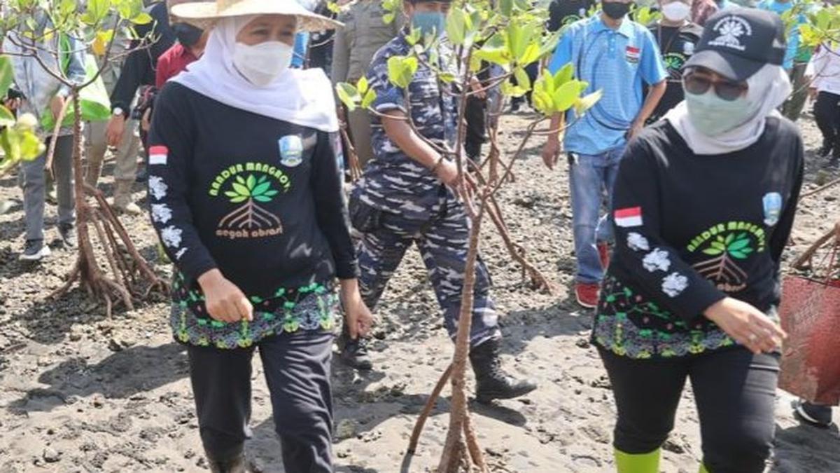 Khofifah Ajak Warga Jatim Sedekah Oksigen dengan Menanam Mangrove ...