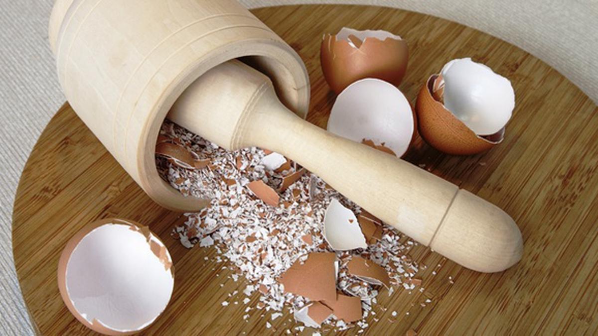 Kulit Lebih Putih Bebas Noda Dengan Masker Kulit Telur Sederhana ...