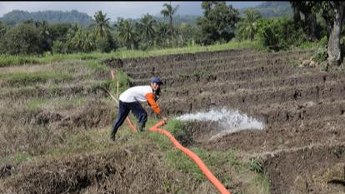 Percepatan Tanam, Ini Langkah yang Dilakukan Mentan Amran - Bisnis ...