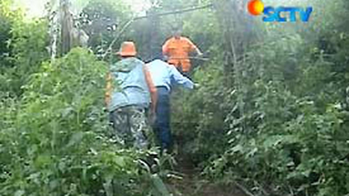 Cassa 212 Dikabarkan Jatuh di Pasir Gaok - News Liputan6.com