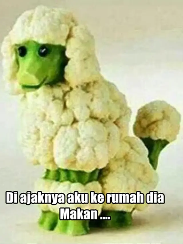 Deretan Meme Kocak Lagu Sayur Kol, Siap-Siap Ketawa Geli - Citizen6 ...