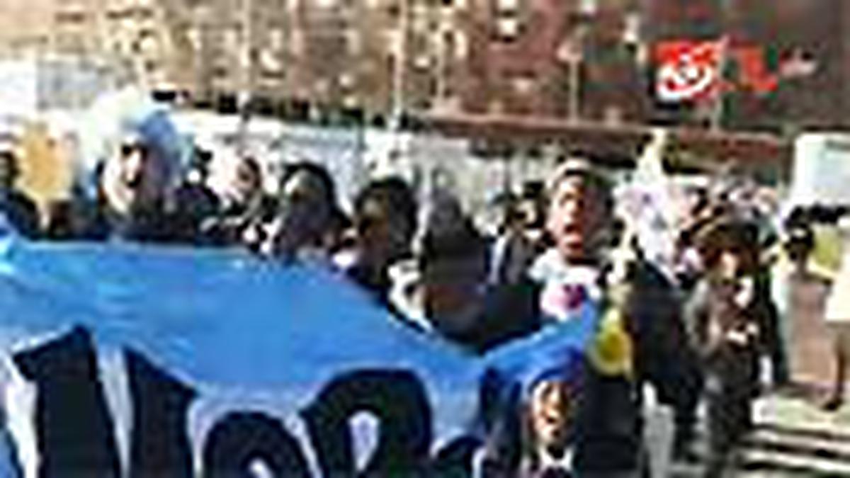 Suporter Argentina Yakin Tim Tango Juara - Bola Liputan6.com