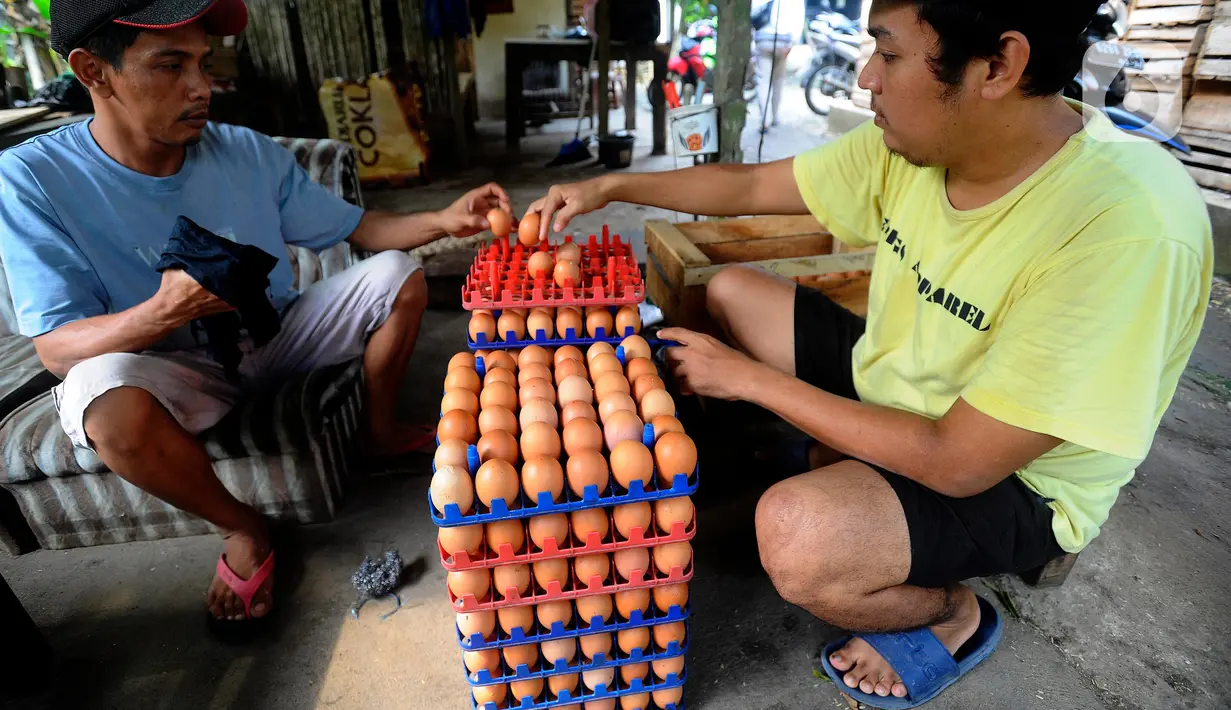 Harga Telur Naik Terus, Ternyata Mahalnya Pakan Ayam Jadi Pemicu - Foto ...