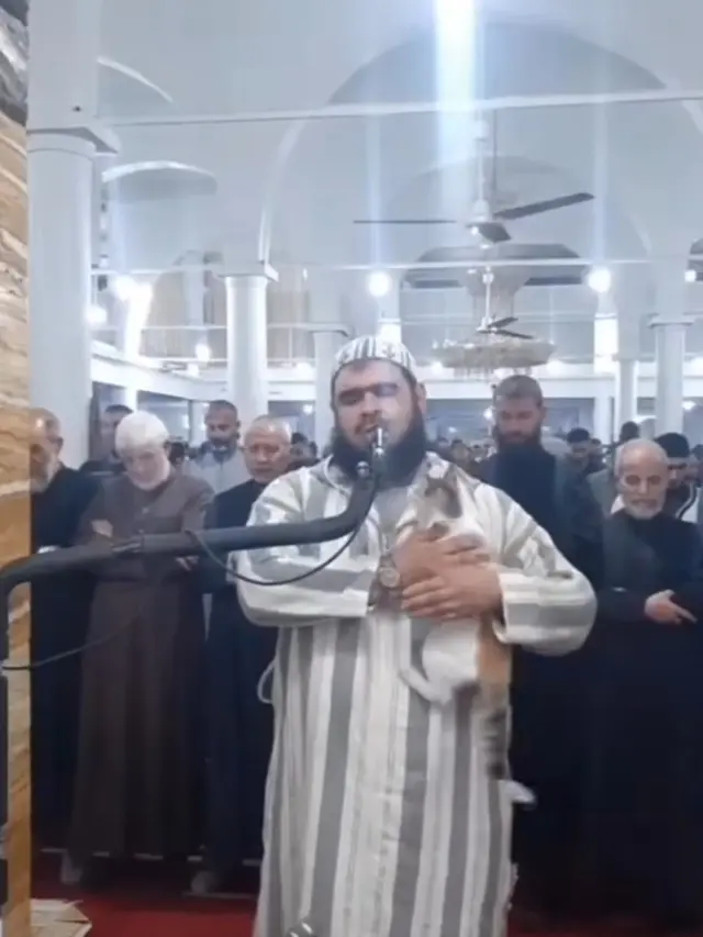 Kucing Ini Naik ke Pundak dan Cium Imam Saat Salat, Reaksinya Tuai ...