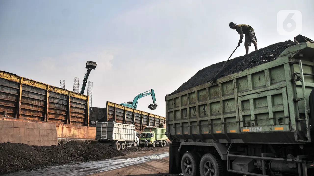 Ekspor Batu Bara Wajib Pakai HBA per 1 Maret 2025, Aturan Dikebut Semalam - Bisnis Liputan6.com