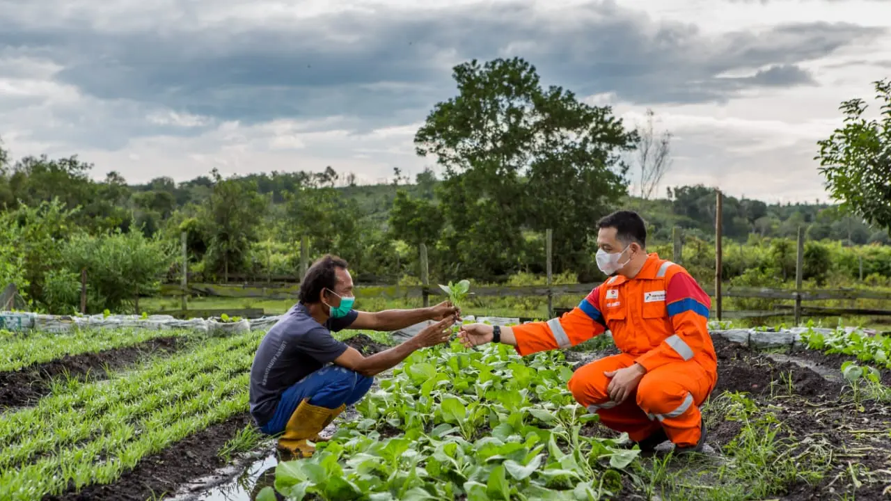 Kompetisi Ini Ajak Petani Muda Keluarkan Ide Bisnis Hasil Tani yang ...
