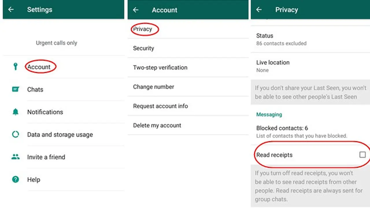 WhatsApp Web Bakal Punya Skema Warna dan Tampilan Sidebar Baru - Tekno ...