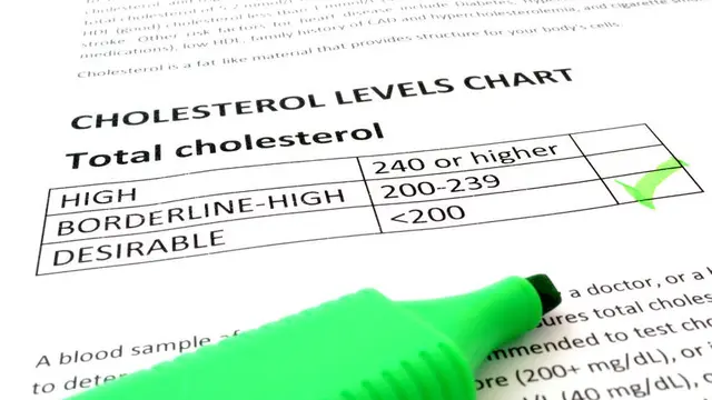 Ciri Kadar Kolesterol Telah Kembali Normal, Pantau Terus Demi Kesehatan ...