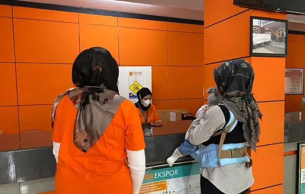 Bulus Itu Apa: Mengenal Hewan Unik yang Terancam Punah - Feeds Liputan6.com