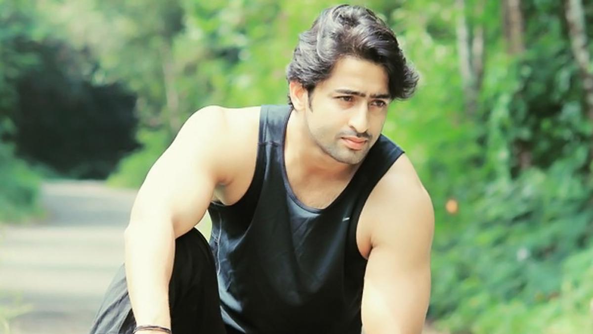 Dilempar Pisau Evan Sanders, Shaheer Sheikh Justru Tertawa - ShowBiz Liputan6.com