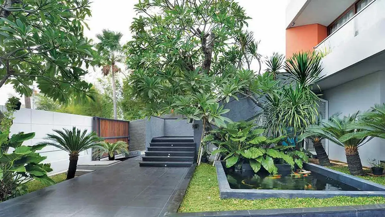Rekomendasi 8 Jenis Pohon untuk Meneduhkan Taman Rumah - Lifestyle ...